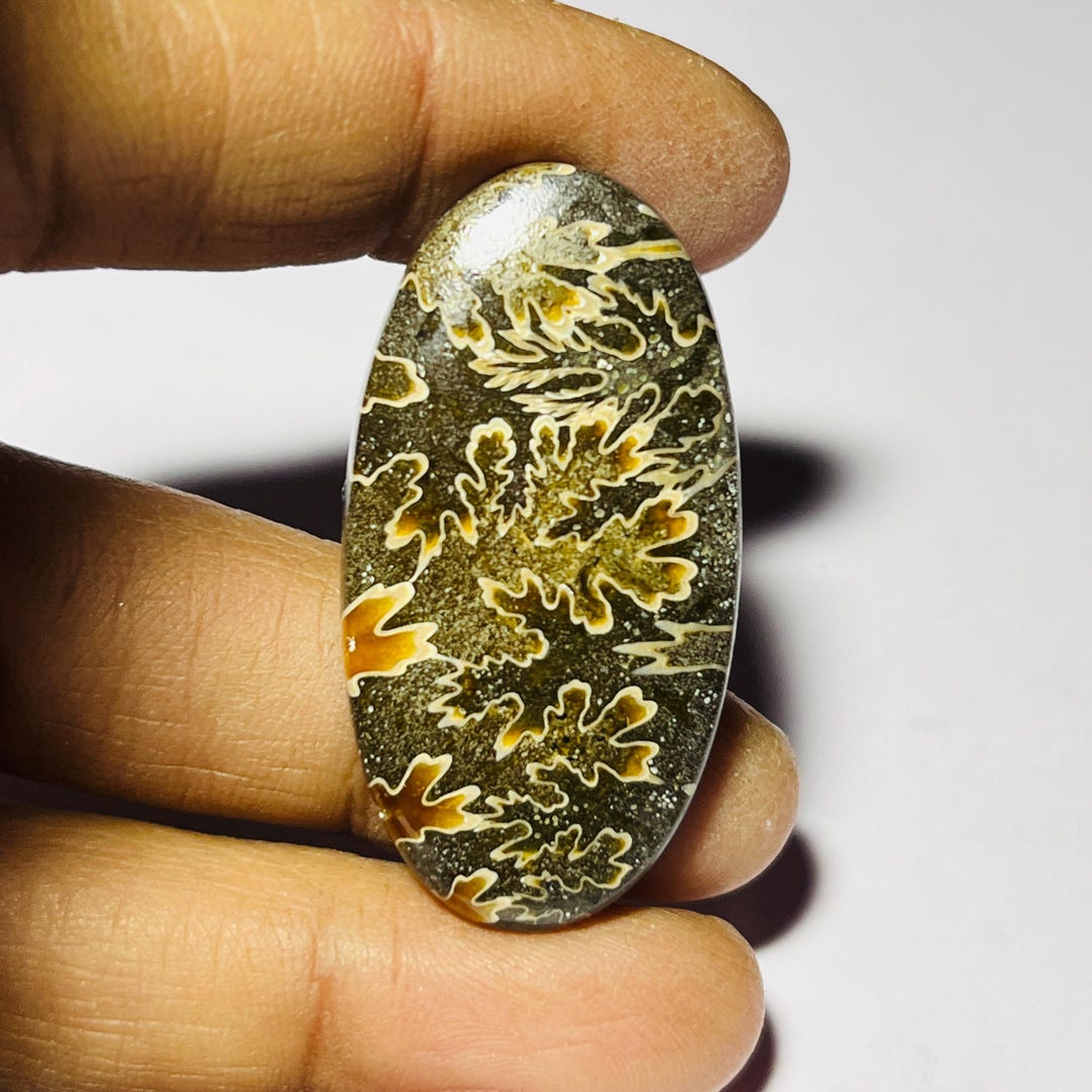 Beautiful Ammonite Cabochon, Natural Ammonite Gemstone Loose Gemstone ...