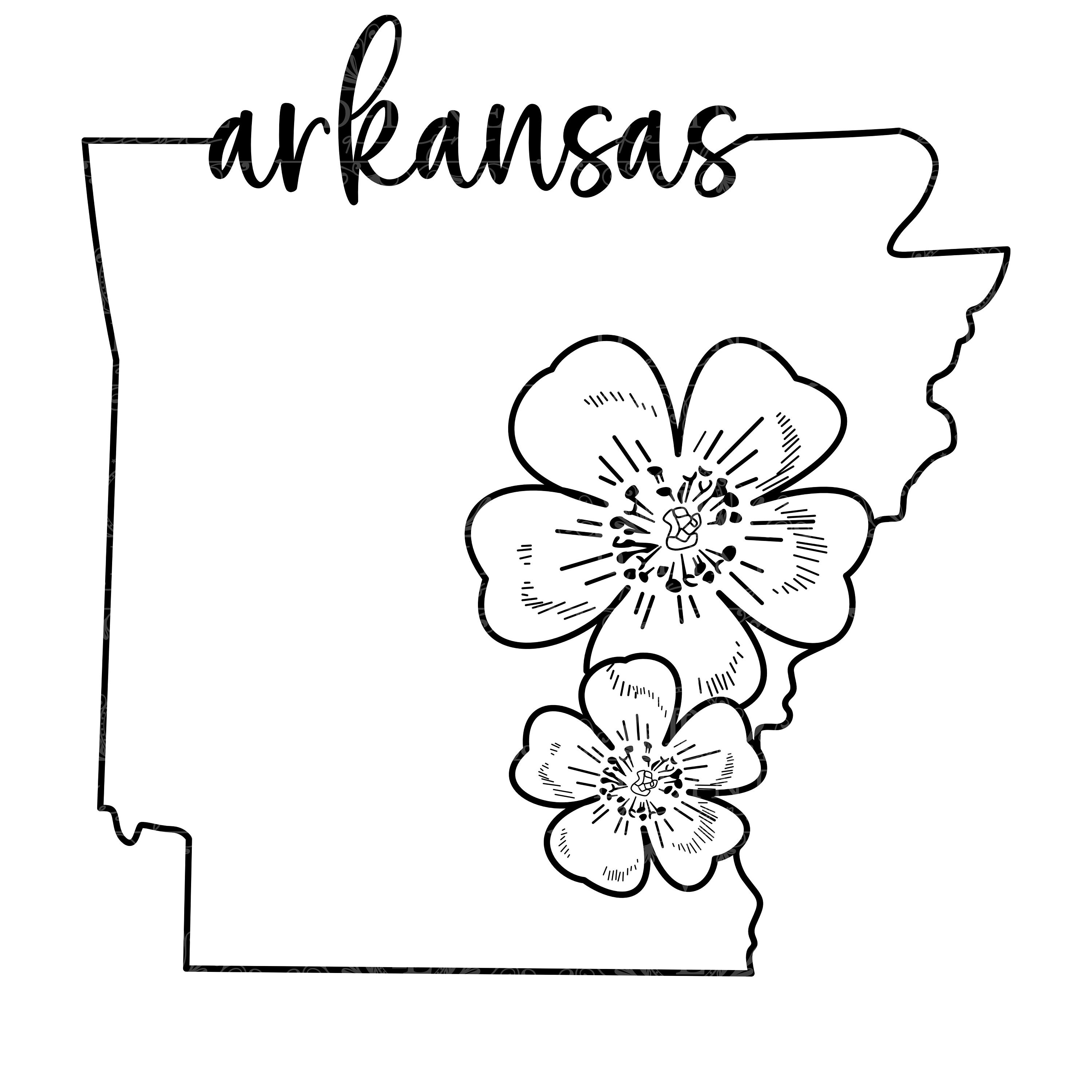 Arkansas State Flower Instant Download. Apple Blossom Shirt Design ...