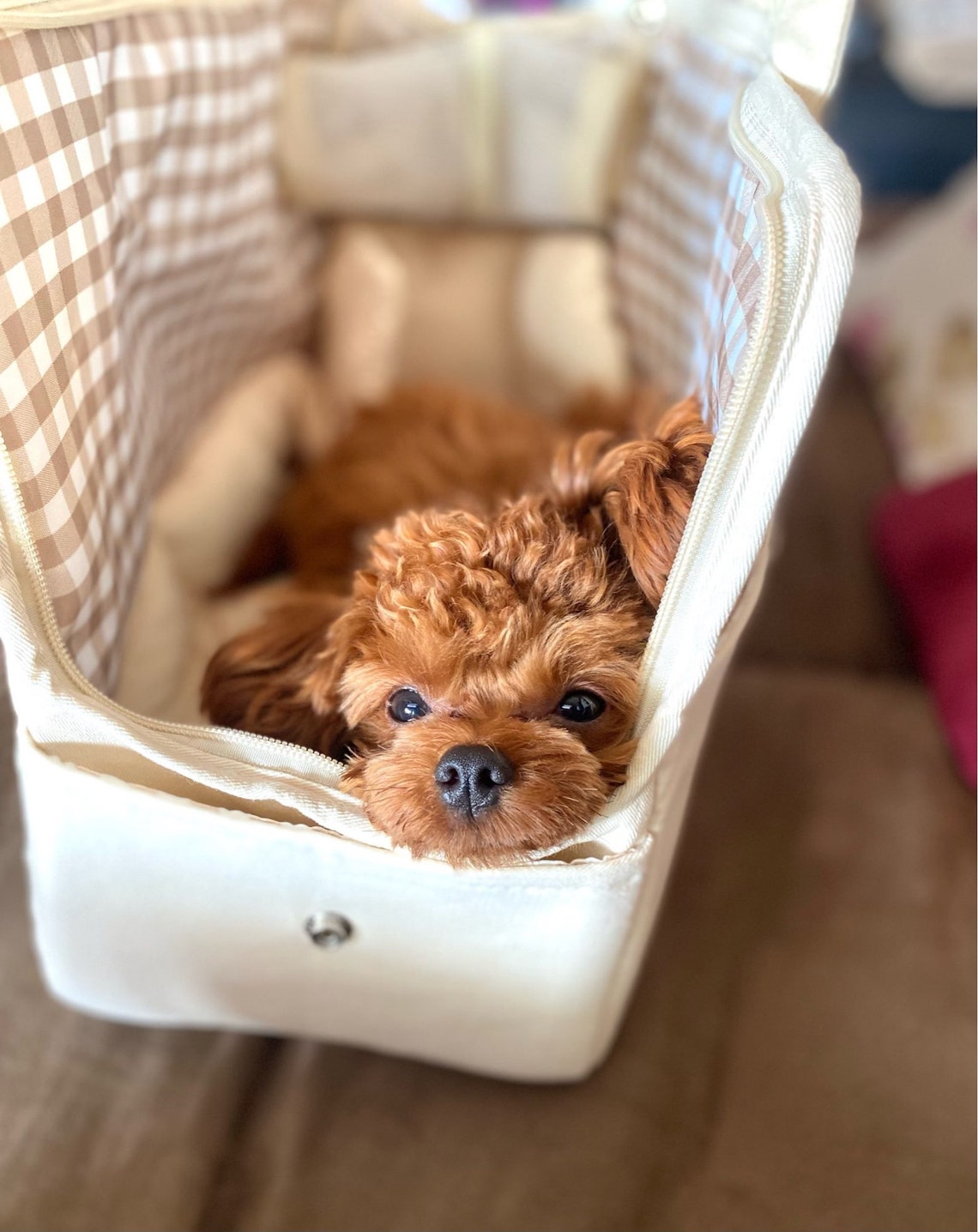 Pet Carrier Bag Dog Carrier Bag Cat Carrier Bag Animal - Etsy