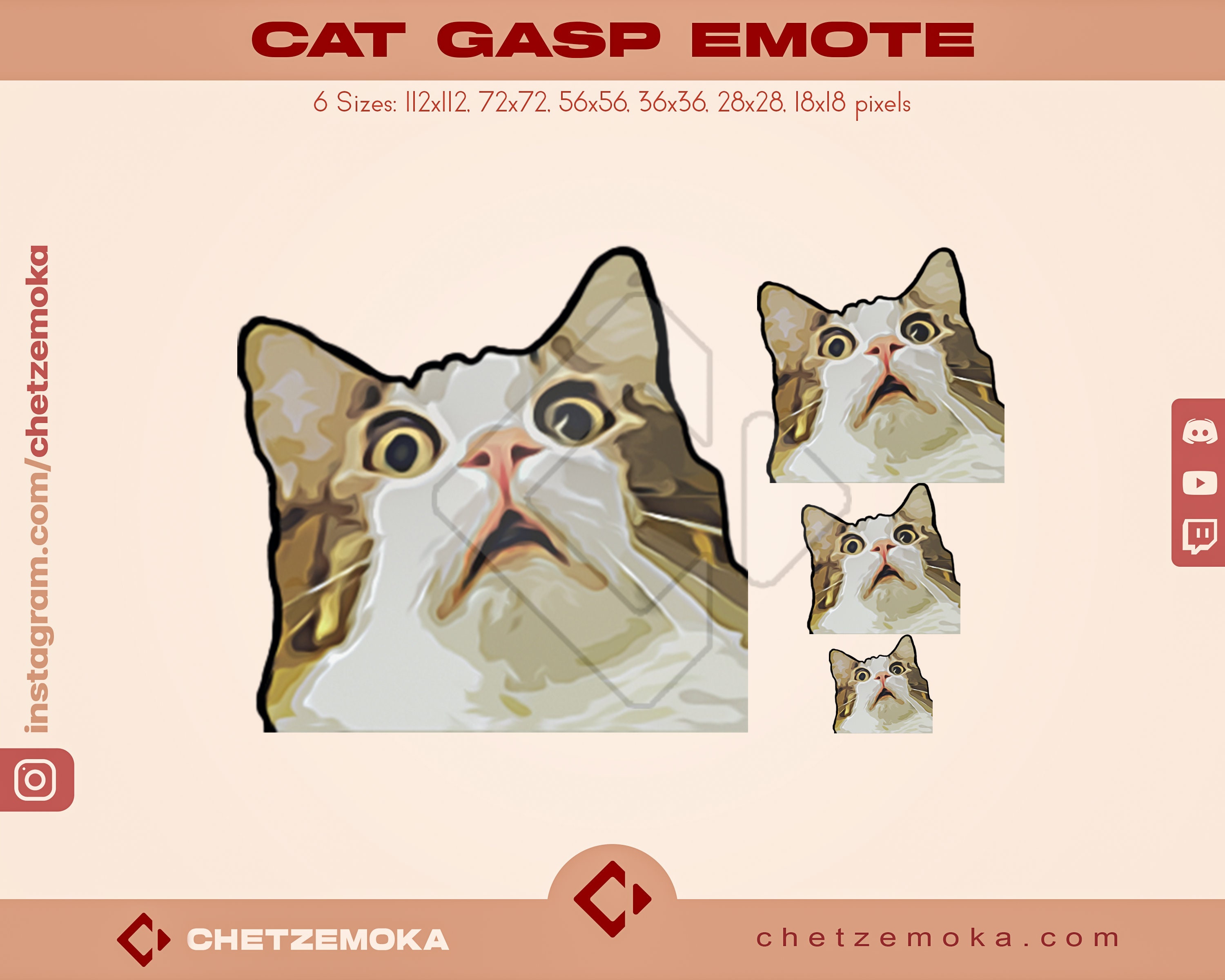 Gasp Cat Meme