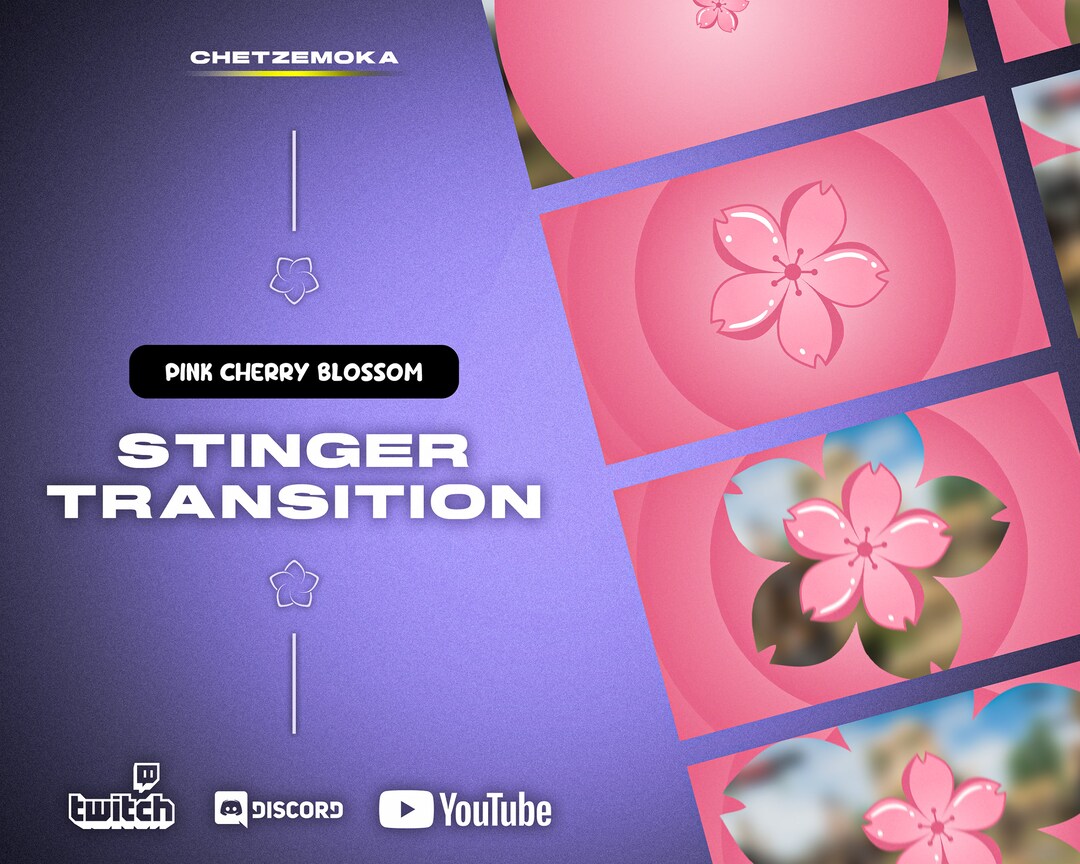 Pink Cherry Blossom Stinger Transition: Animated Sakura Flower, Twitch ...
