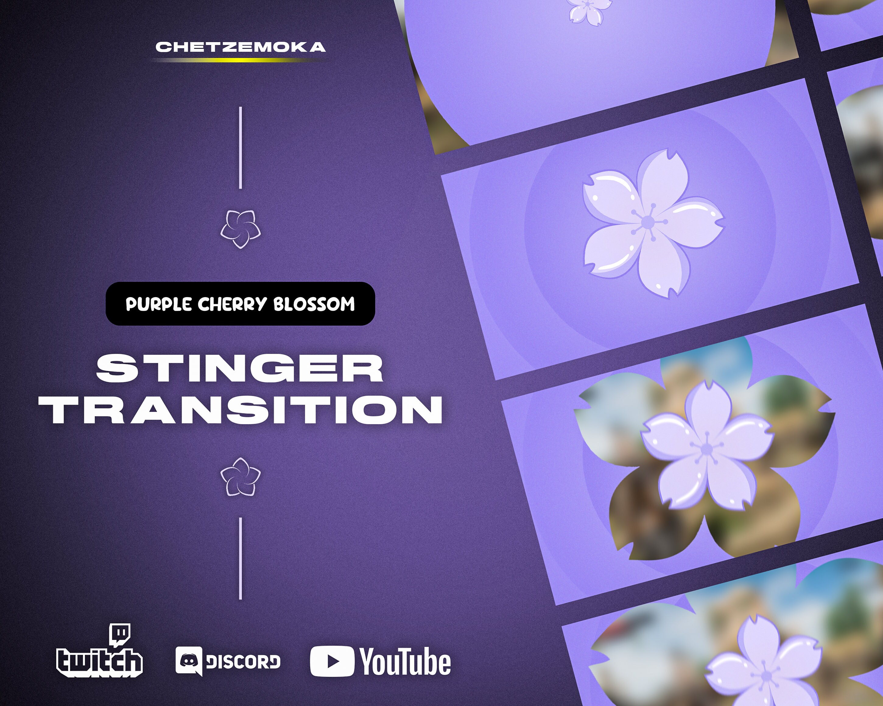 Cherry Blossom Stinger Transition Animated Stinger Transition Purple ...