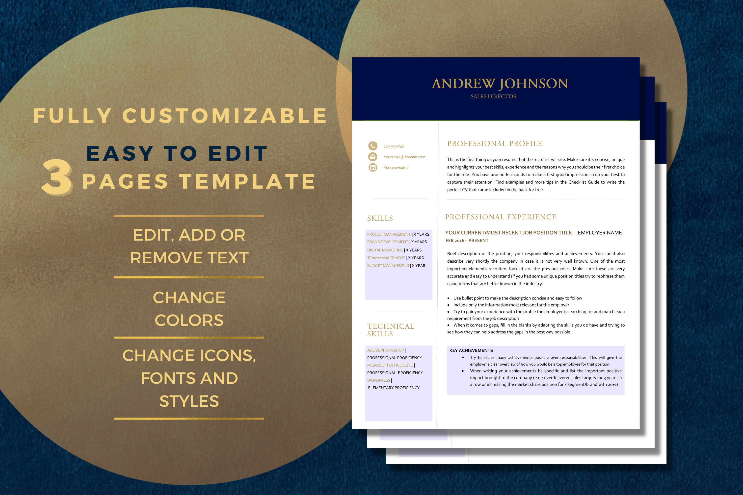 Modern Executive Resume Template | C Level Resume | Cv Template Word ...