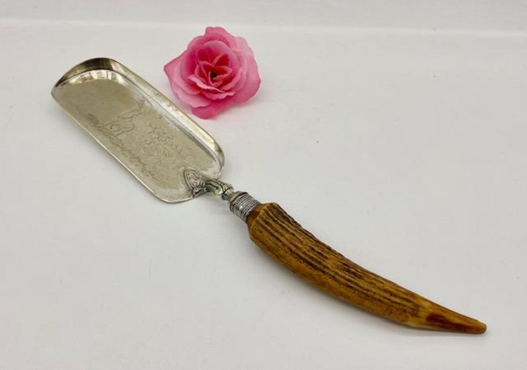 Antique English Crumb Scoop With Stag Horn Handle C.1890s Victorian ...