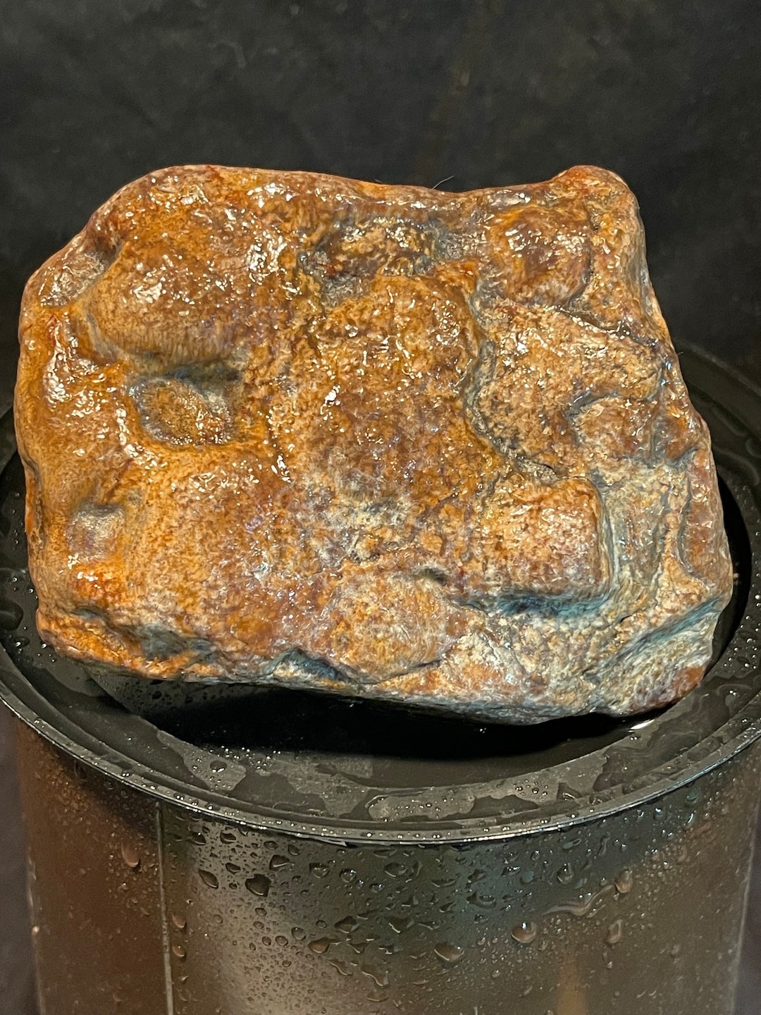 Authentic Dinosaur Bone - Etsy