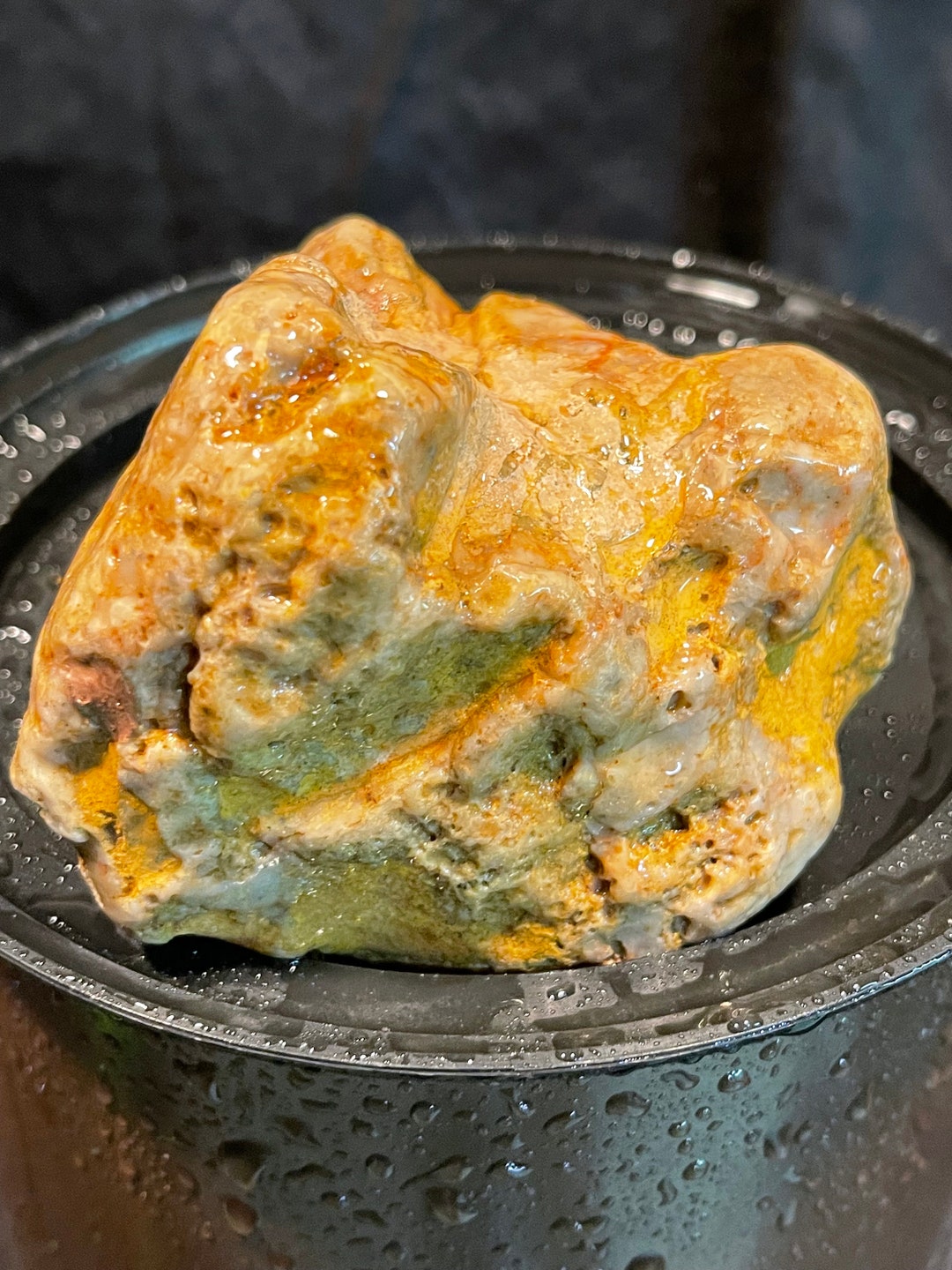 Ancient Sea Coral Fossil Rainbow - Etsy