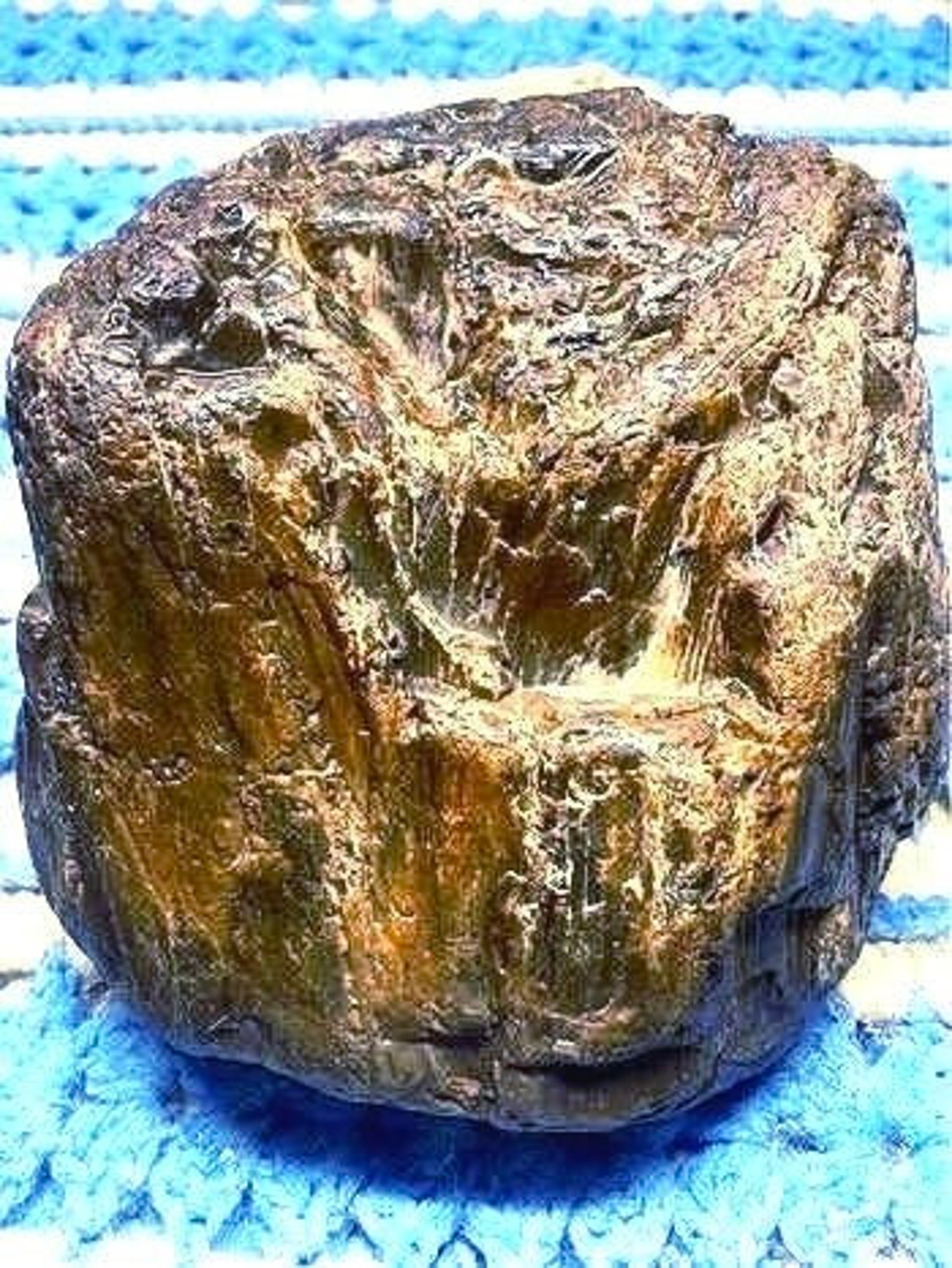 Petrified Wood Log W/ Dark Amber and Crystals - Etsy