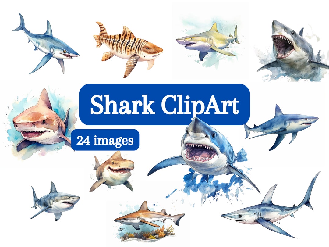 24 Watercolor Sharks Clipart Shark Species Download - Etsy Canada