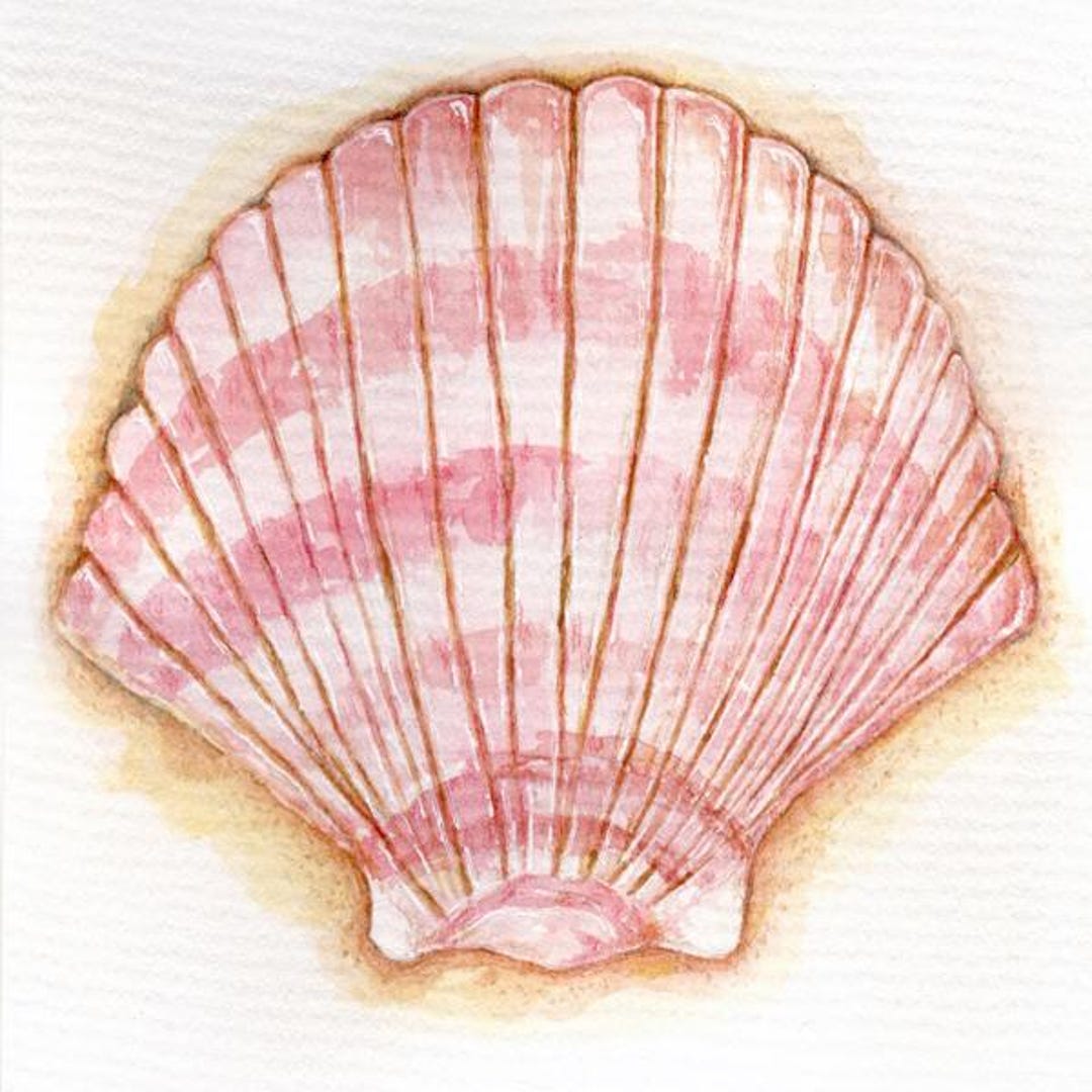 Digital Print, Sea Shells No.2, Watercolor Painting - Etsy