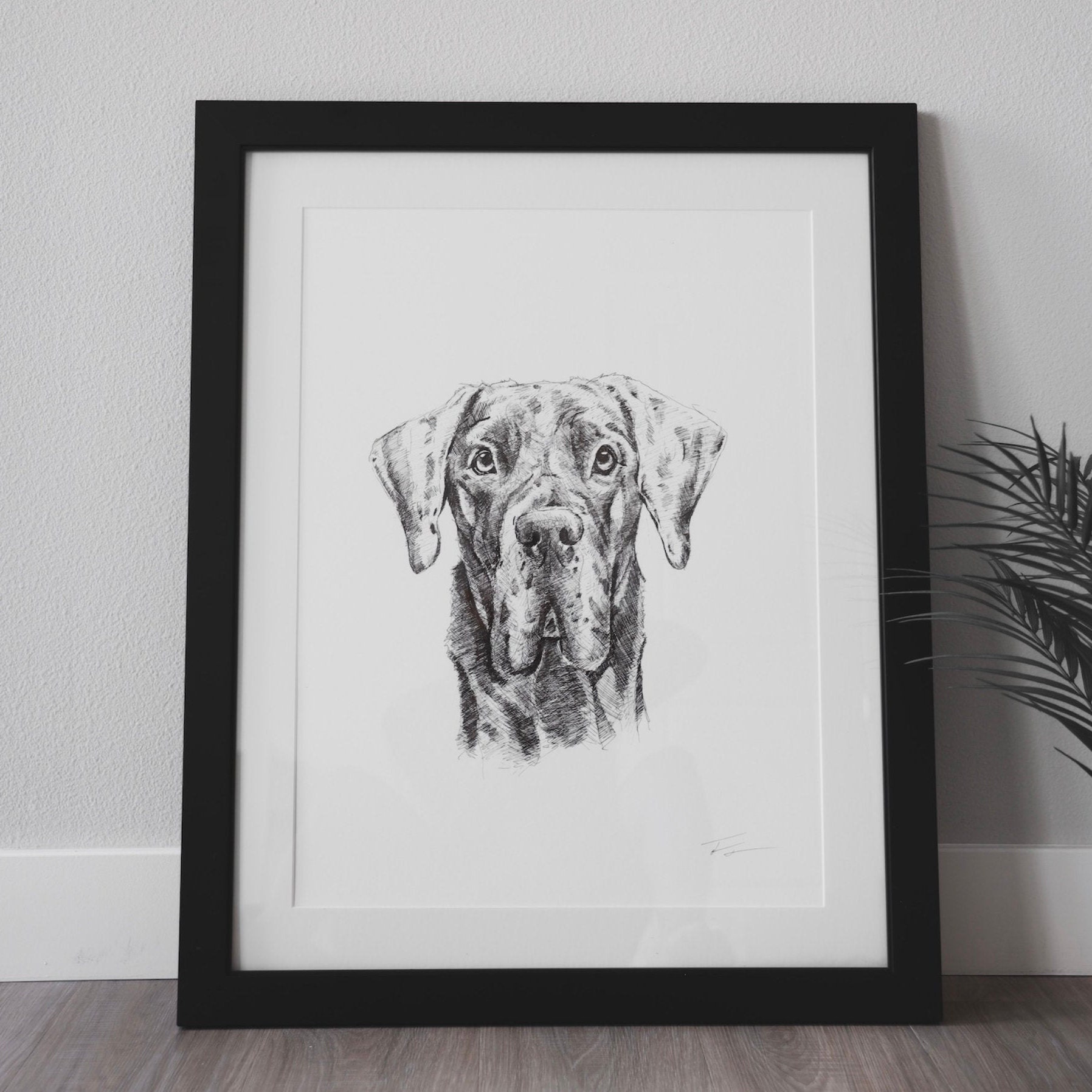 Sketch Pen Great Dane Drawing, Black and White Dog Portrait, Memorable ...