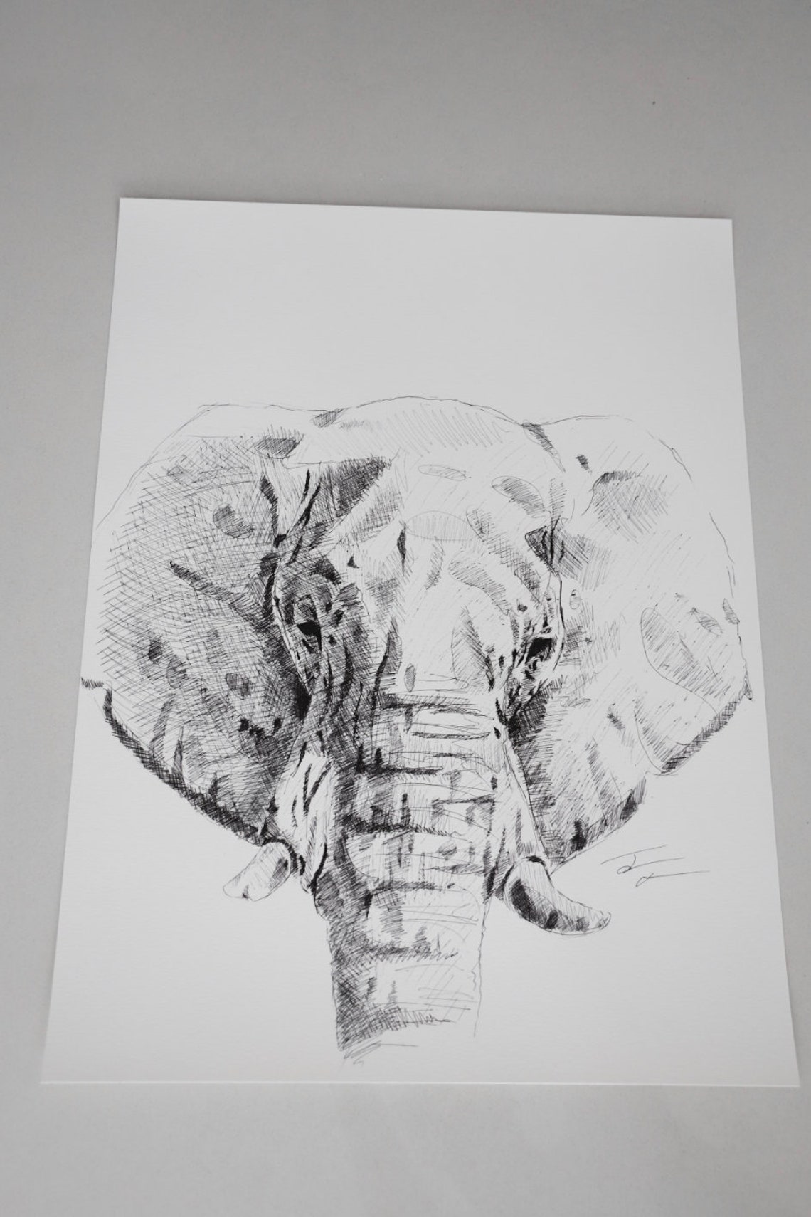 Olifant schets pen tekening, zwart-wit olifant portret, memorabele gift ...