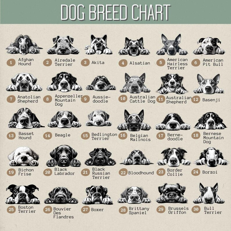 Custom Dog Cocktail Napkins, Personalized Pet Breed Wedding Table Decor ...