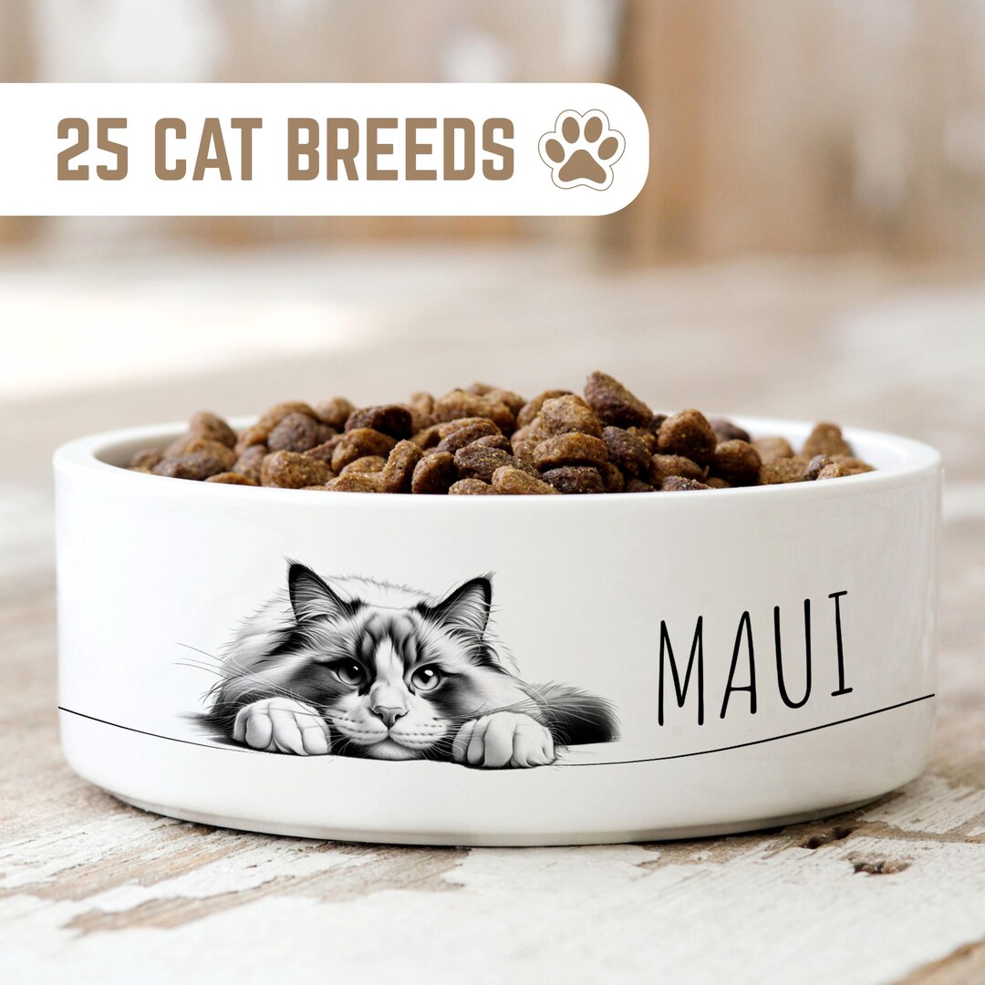 Custom Ceramic Cat Bowl, Personalised Pet Bowl With Name, Small Medium ...