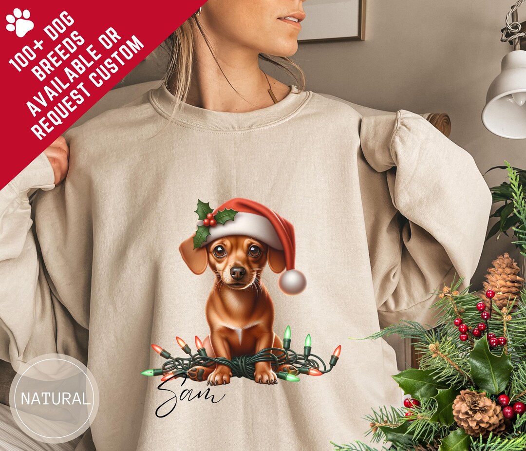 Custom Chiweenie Christmas Dog Sweatshirt, Personalized Dog Christmas ...
