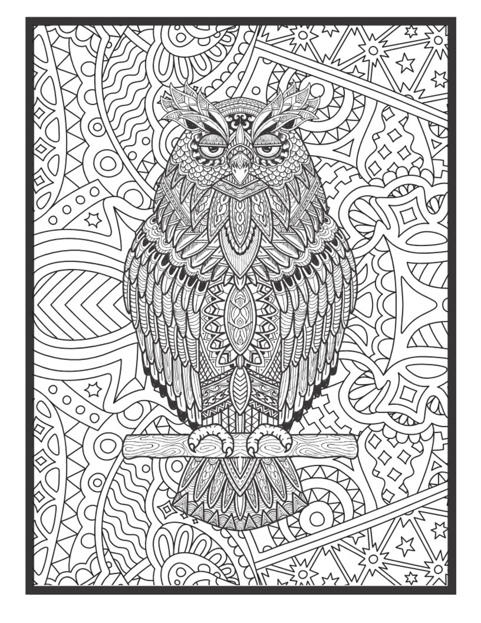 Animal Mandela Coloring Book: 100 designs uniques pour le | Etsy