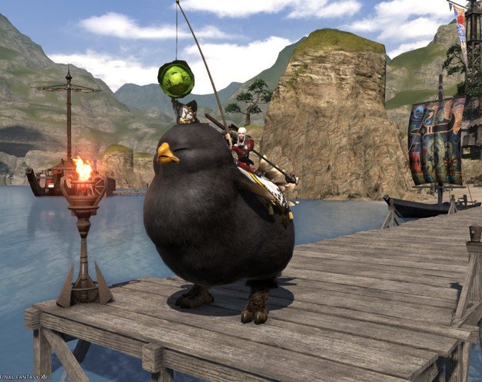 Final Fantasy XIV FF14 Fat Black Chocobo Mount Code - Etsy