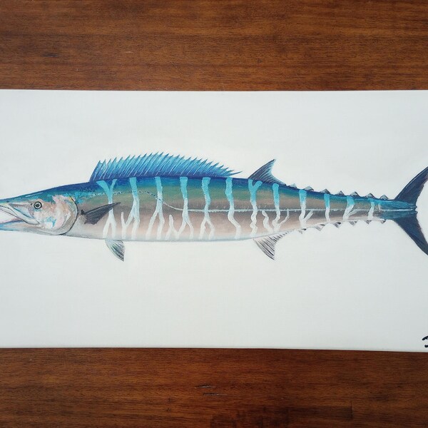 Wahoo - Etsy
