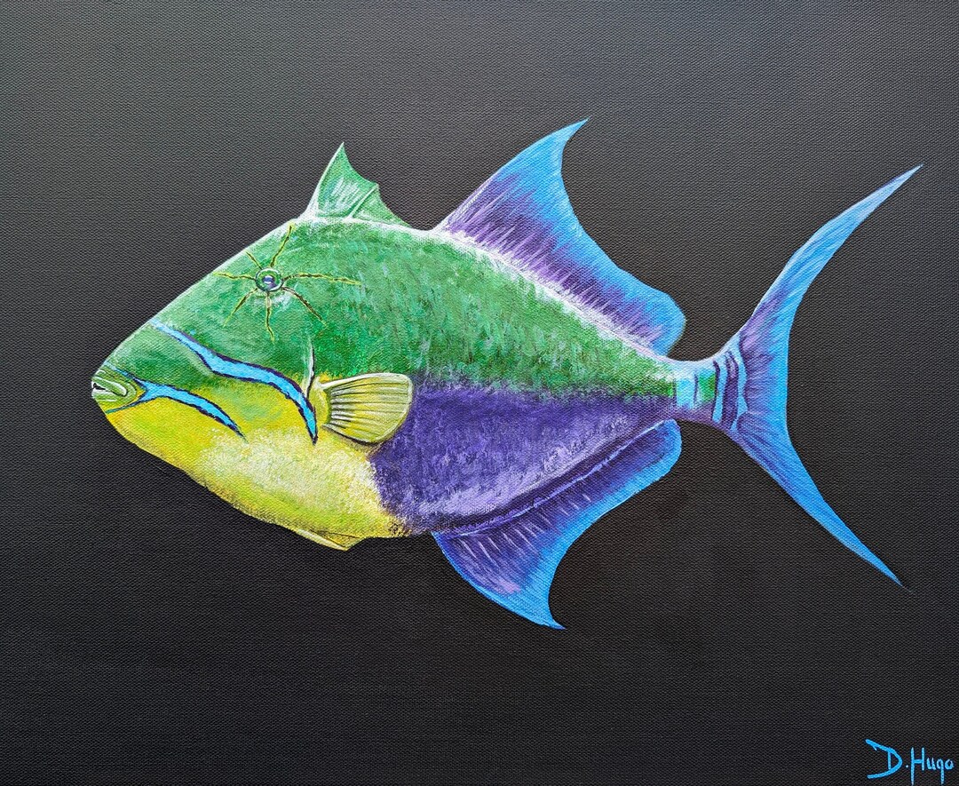 Original Queen Triggerfish Painting (16 X 20 Inches) - Etsy
