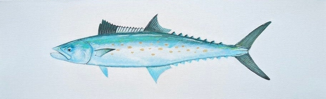 Original Spanish Mackerel Painting (8 X 24 Inches) - Etsy