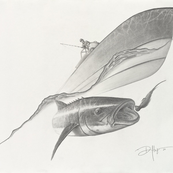 Cobia Fish Svg - Etsy