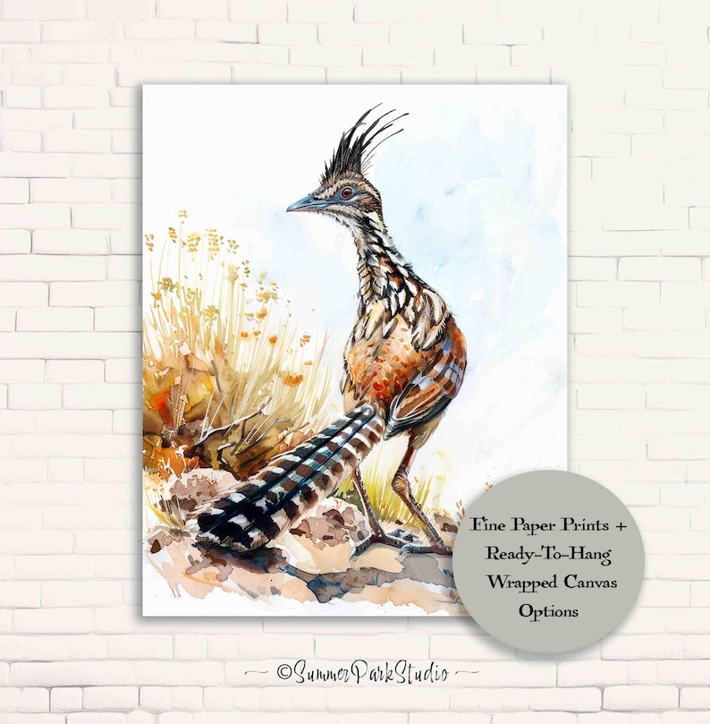 Roadrunner Art Print Desert Wildlife Southwest Decor - Etsy