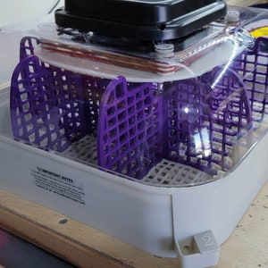 Maticoopx 30 Egg Complete Coverage Divider Attachment - Etsy