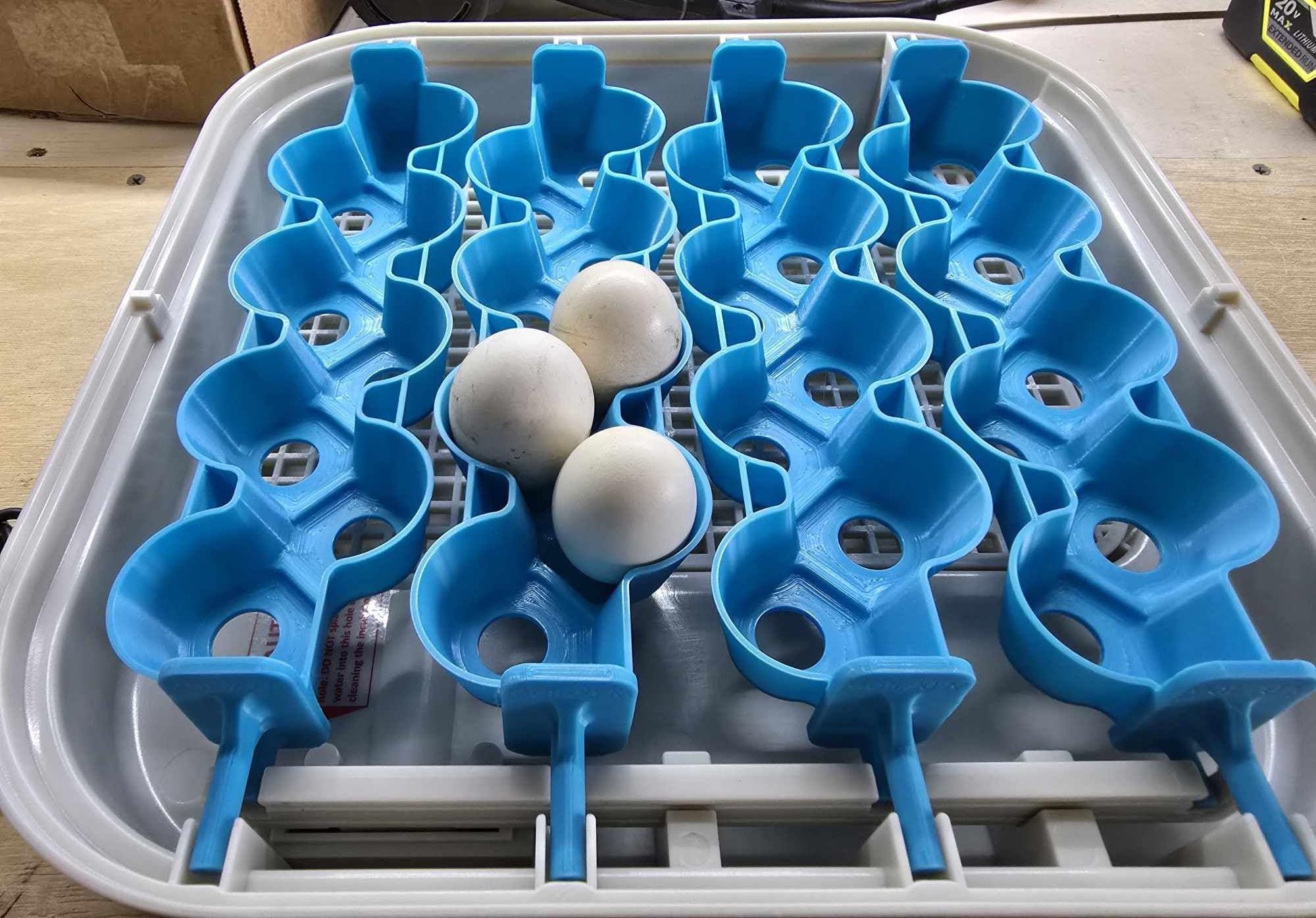 Maticoopx 20 Egg Basket Attachment - Etsy