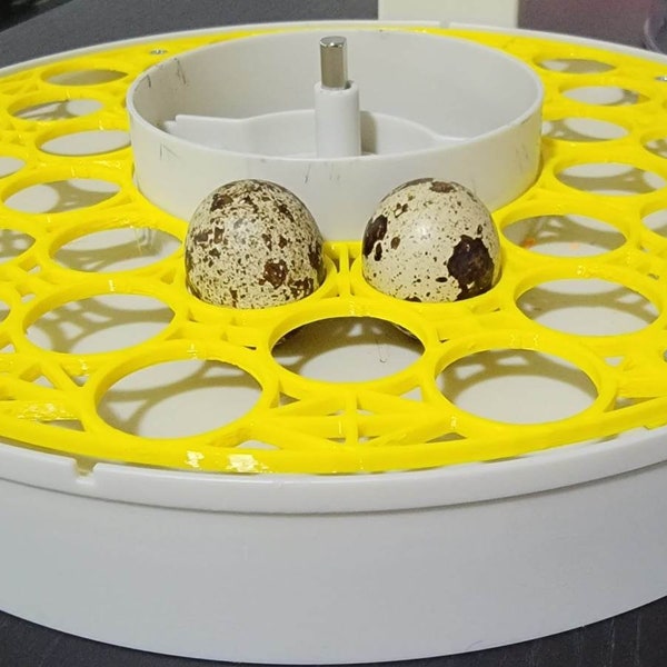 Quail Cage - Shop Online - Etsy