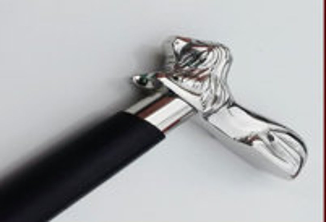 Attractive Handcrafted Modern Walking Stick With Brass Lion Design ...