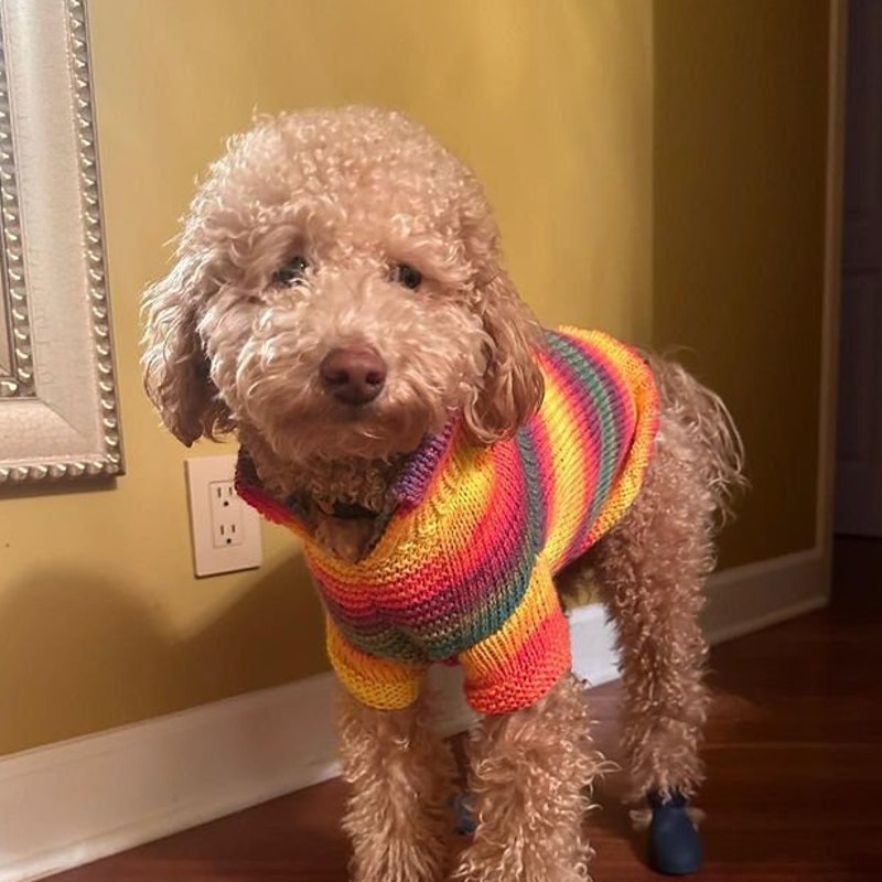 Pet Clothes for Dogs - Etsy