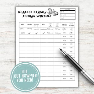 Bi-weekly Bearded Dragon Feeding Chart - Etsy