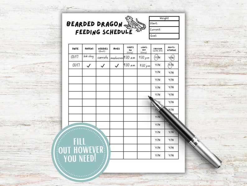 Bi-weekly Bearded Dragon Feeding Chart - Etsy