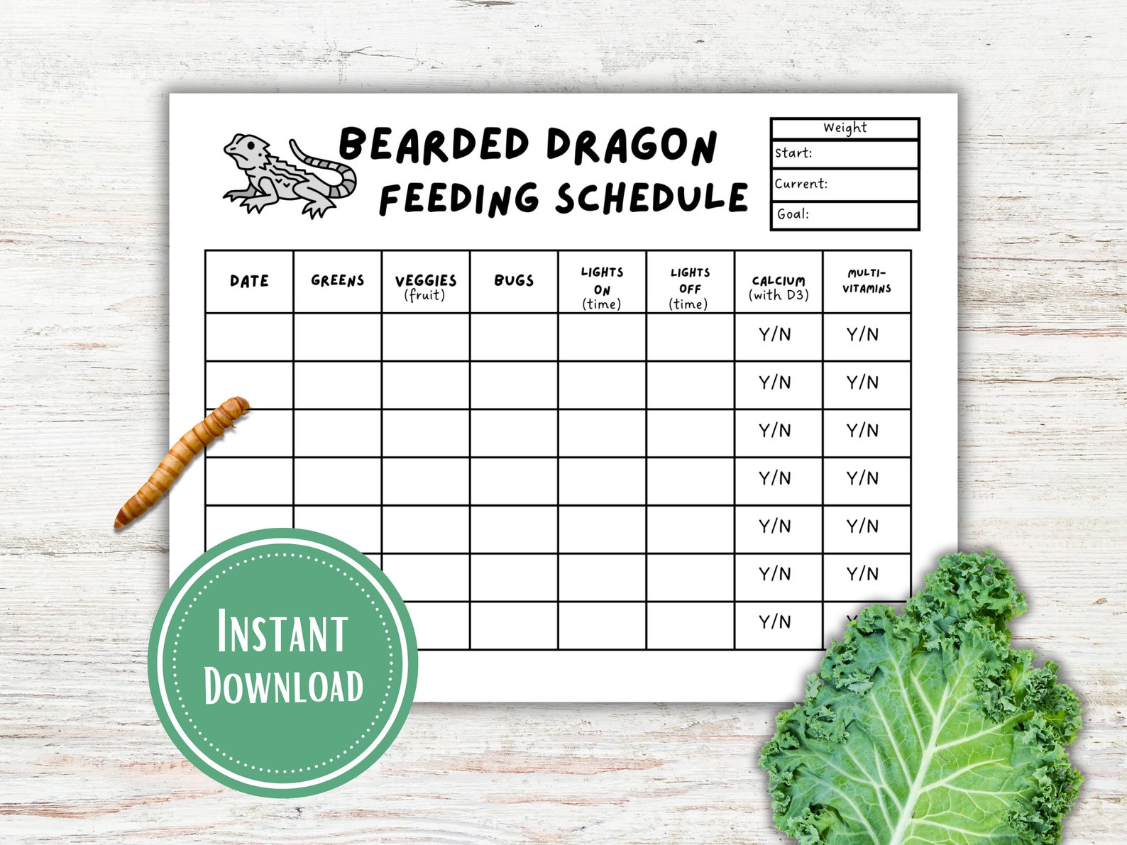 Weekly Bearded Dragon Feeding Chart - Etsy