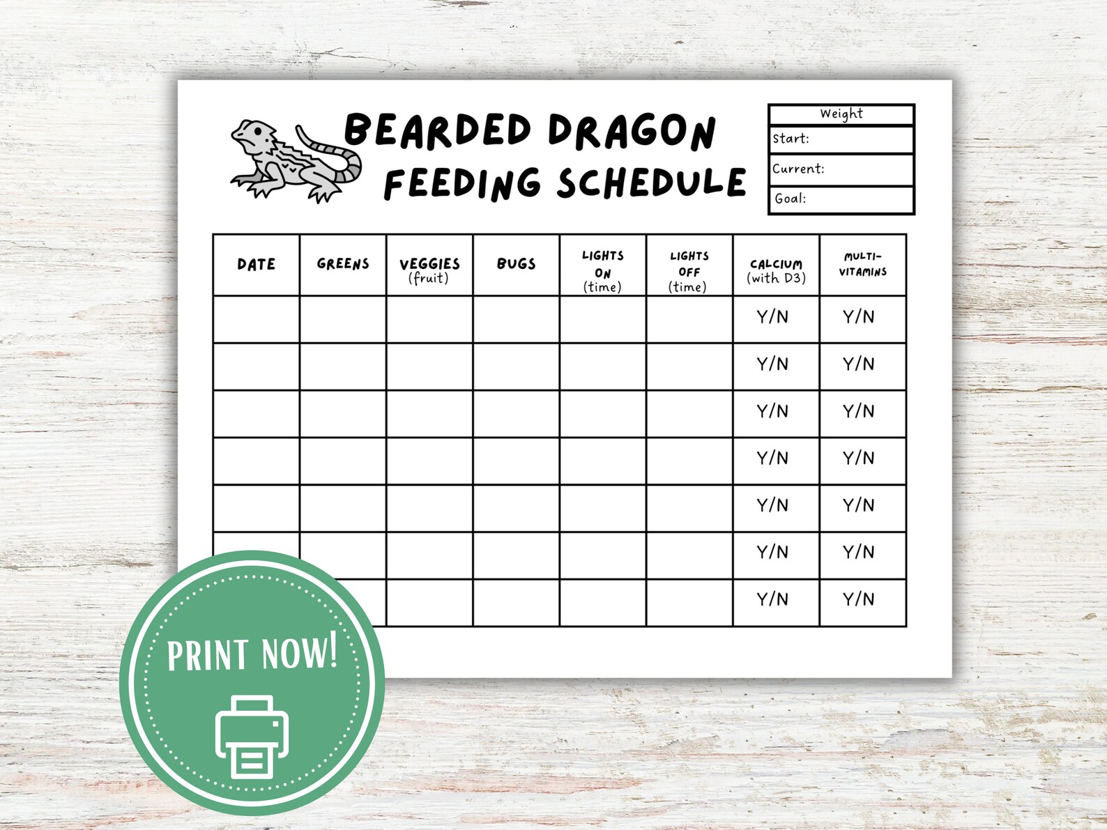 Weekly Bearded Dragon Feeding Chart - Etsy