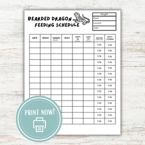 Bi-weekly Bearded Dragon Feeding Chart - Etsy