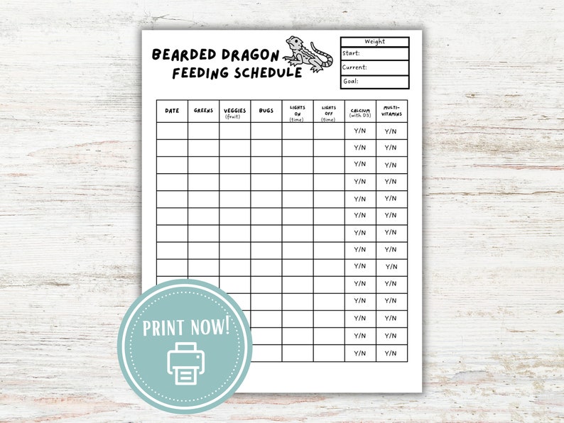Bi-weekly Bearded Dragon Feeding Chart - Etsy
