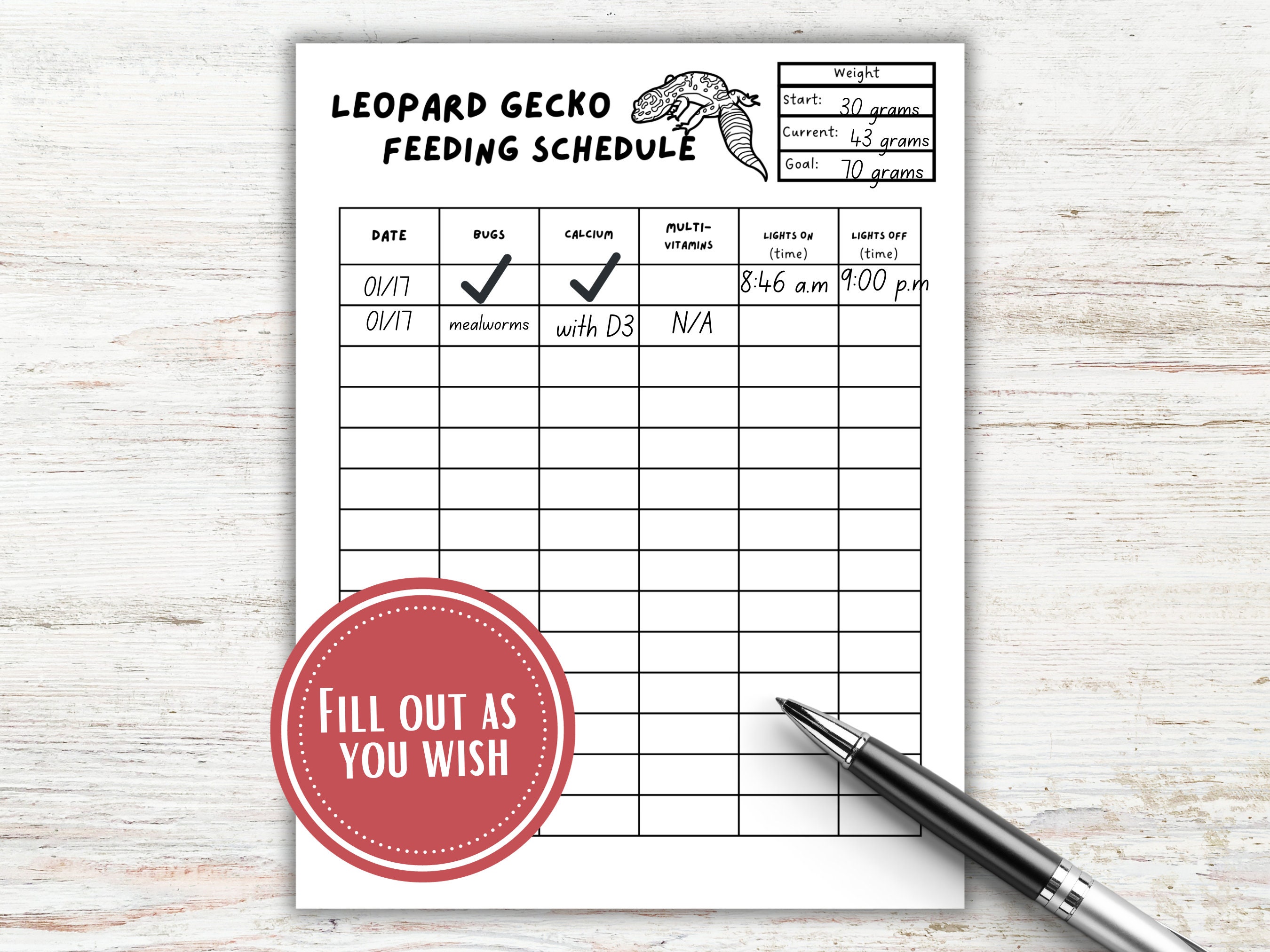 Leopard Gecko Bi-weekly Feeding Schedule/chart. - Etsy