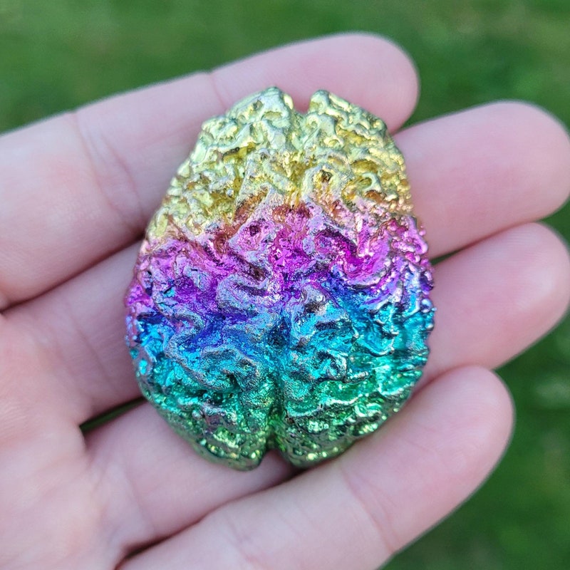 Brain Sculpture - Etsy