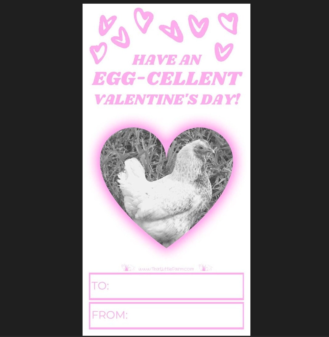 Have an Egg-cellent Valentine's Day Digital File (valentine Chicken ...