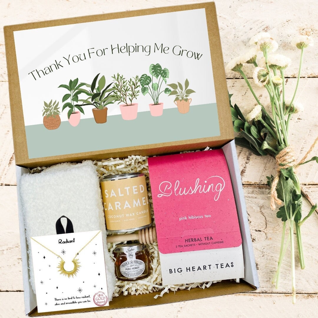 Gratitude Gift for Mentor, Appreciation Gift for Mentor, Thank You for ...