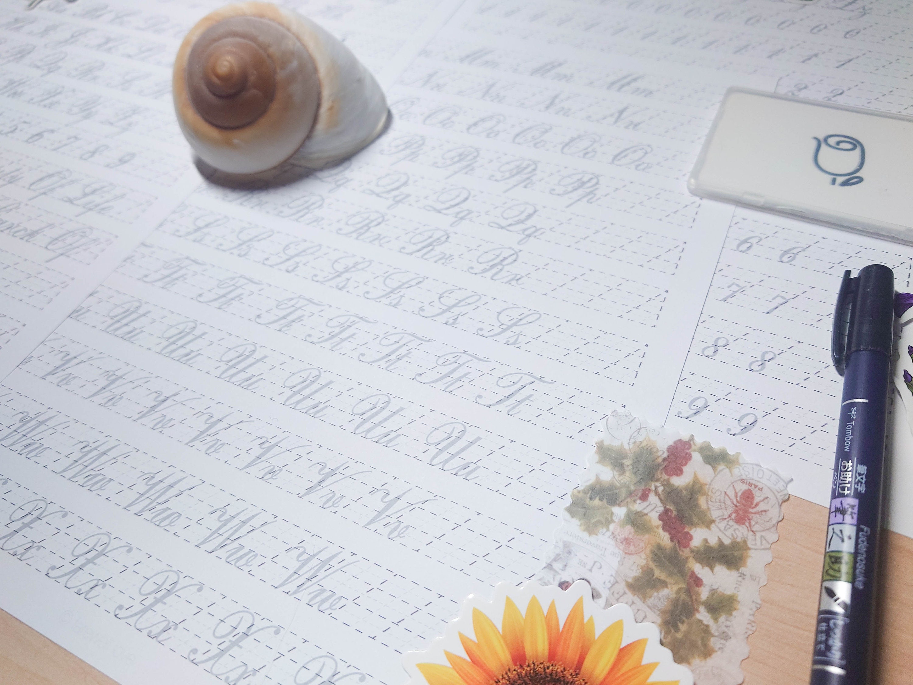 Copperplate Calligraphy Guided Practice Sheets | Wedding, Events ...