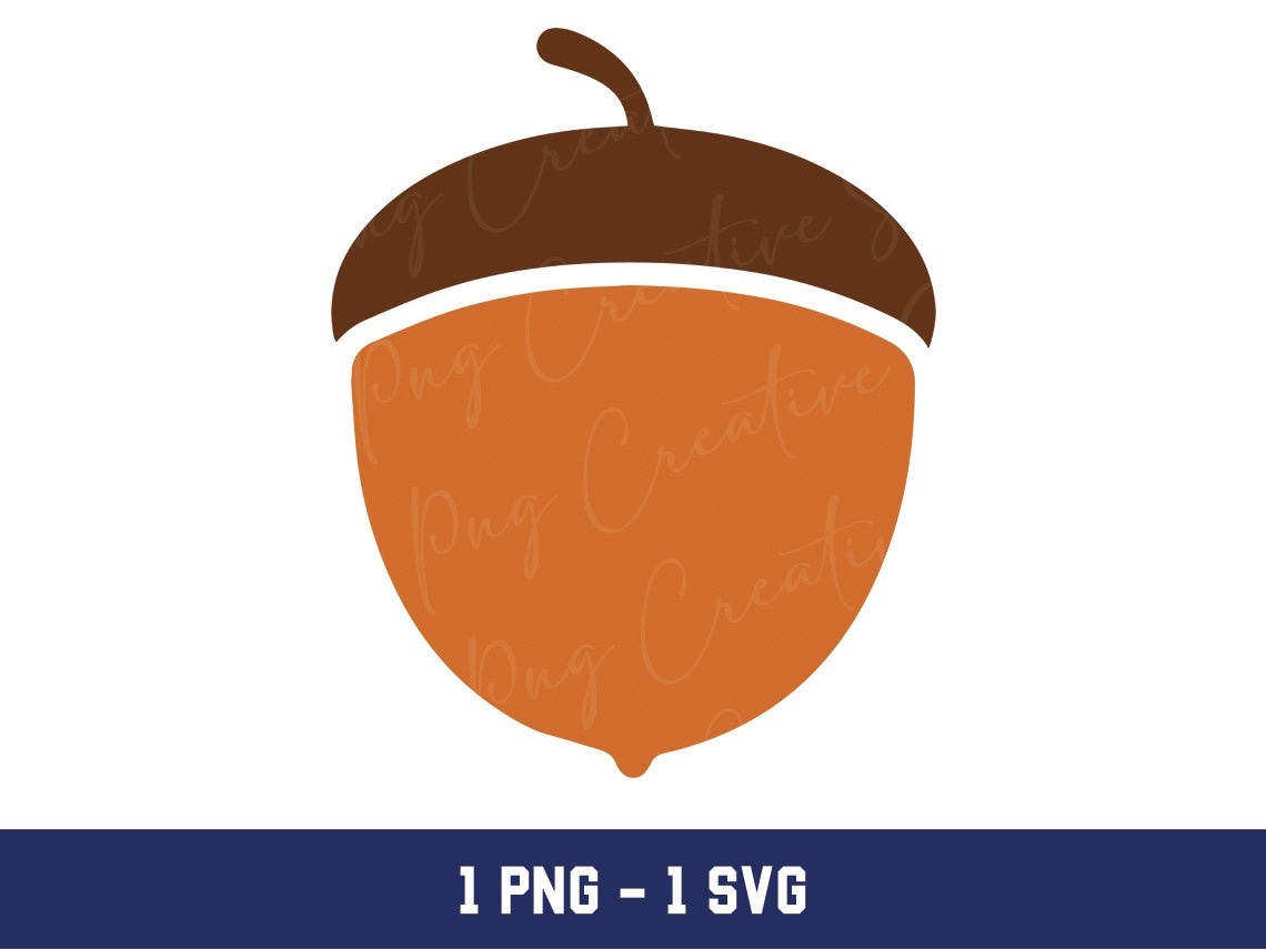 Acorn Nut Png, Acorn Nut Svg - Etsy