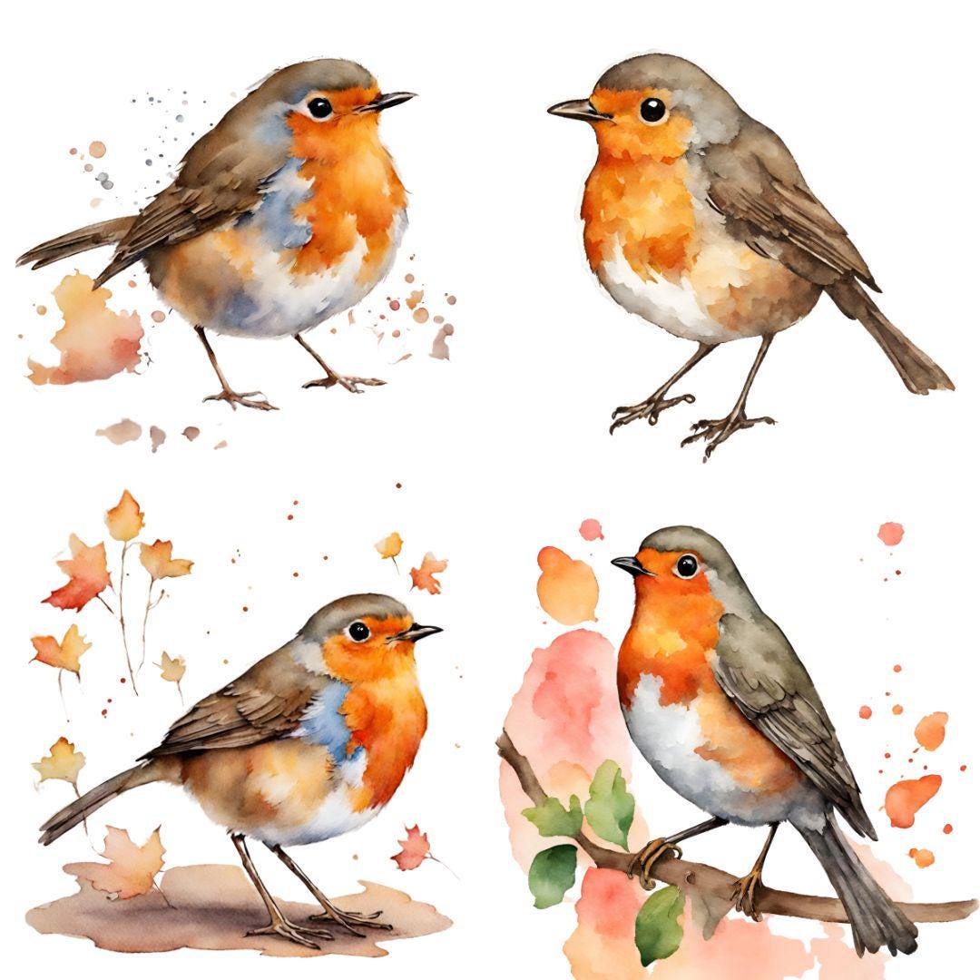 Watercolor Robin Clipart Beautiful Cute Robin Images Charming Robin ...