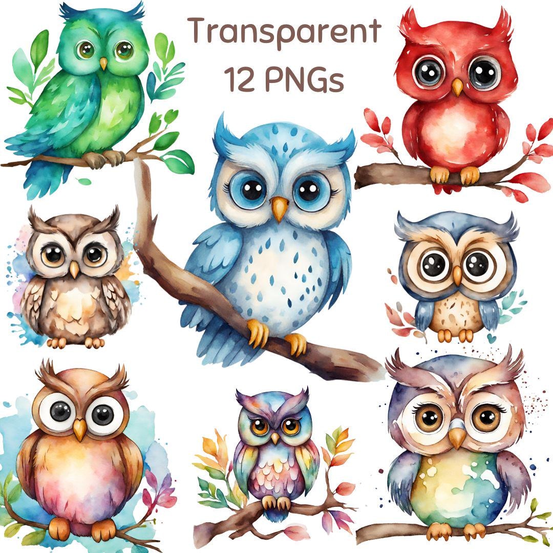 Watercolor Owl Clipart Cute Owl Clipart Colorful Owl Clipart Owl PNG ...