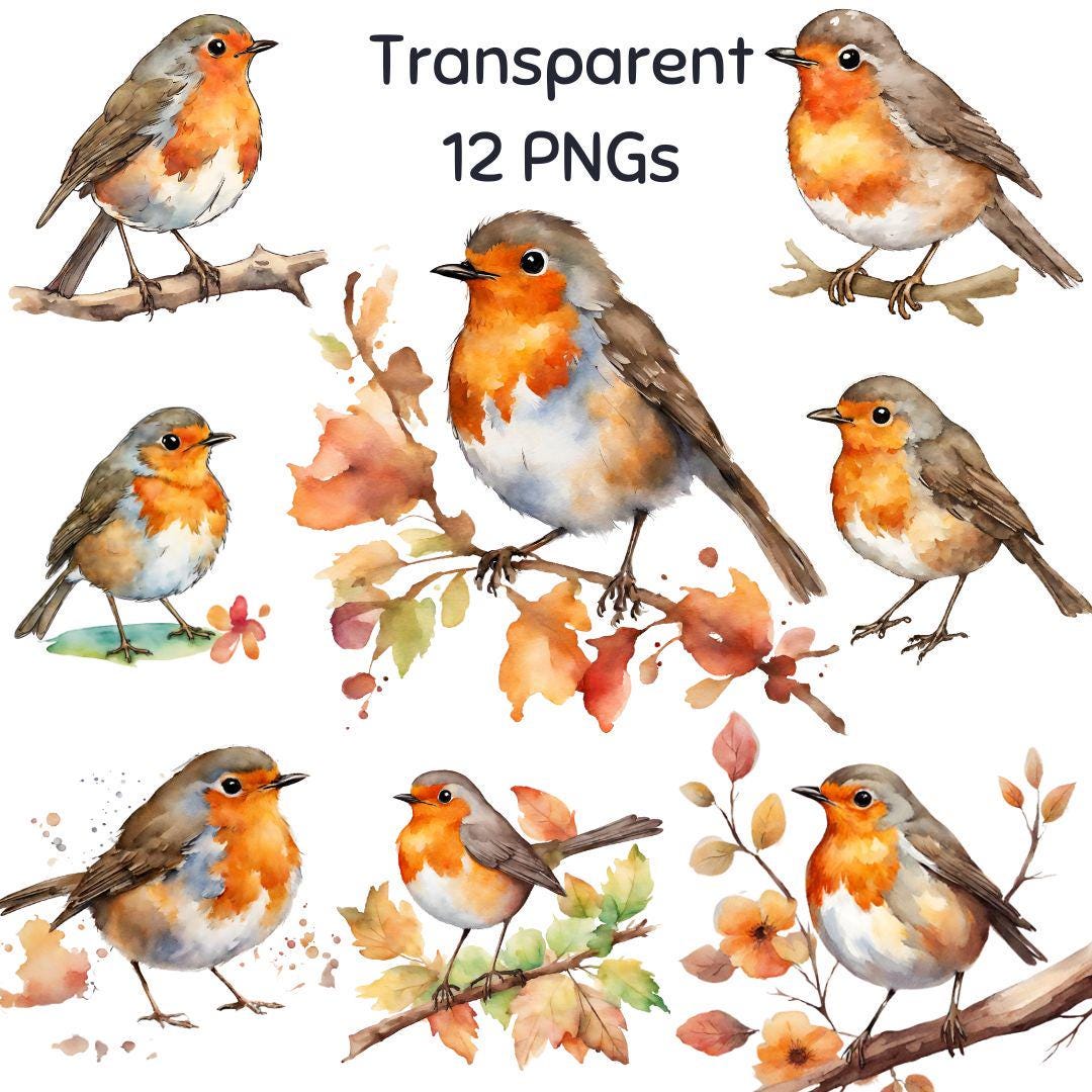 Watercolor Robin Clipart Beautiful Cute Robin Images Charming Robin ...