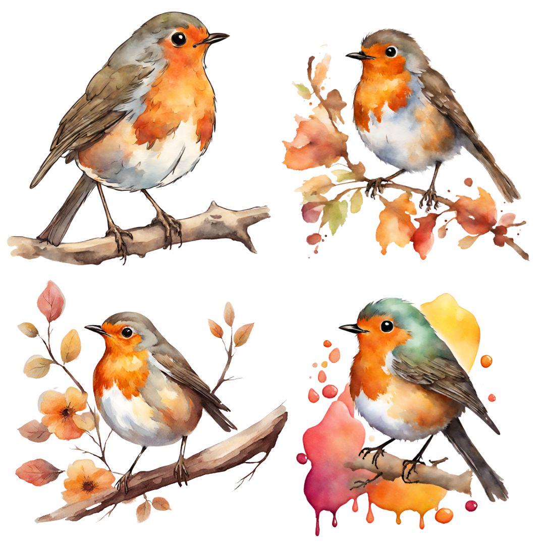 Watercolor Robin Clipart Beautiful Cute Robin Images Charming Robin ...