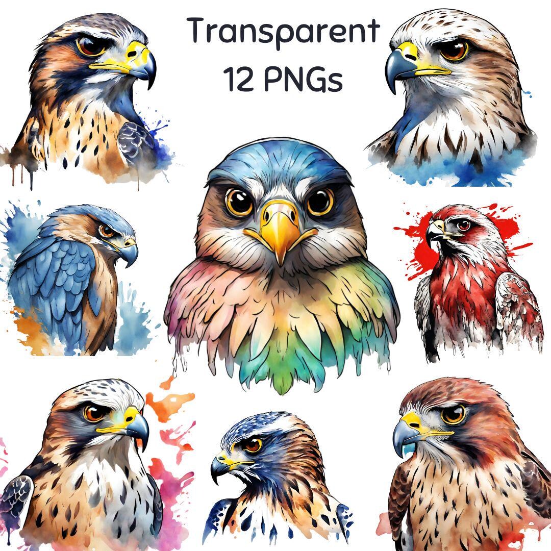 Watercolor Falcon Clipart Hawk Clipart Sublimation Designs PNG Digital ...