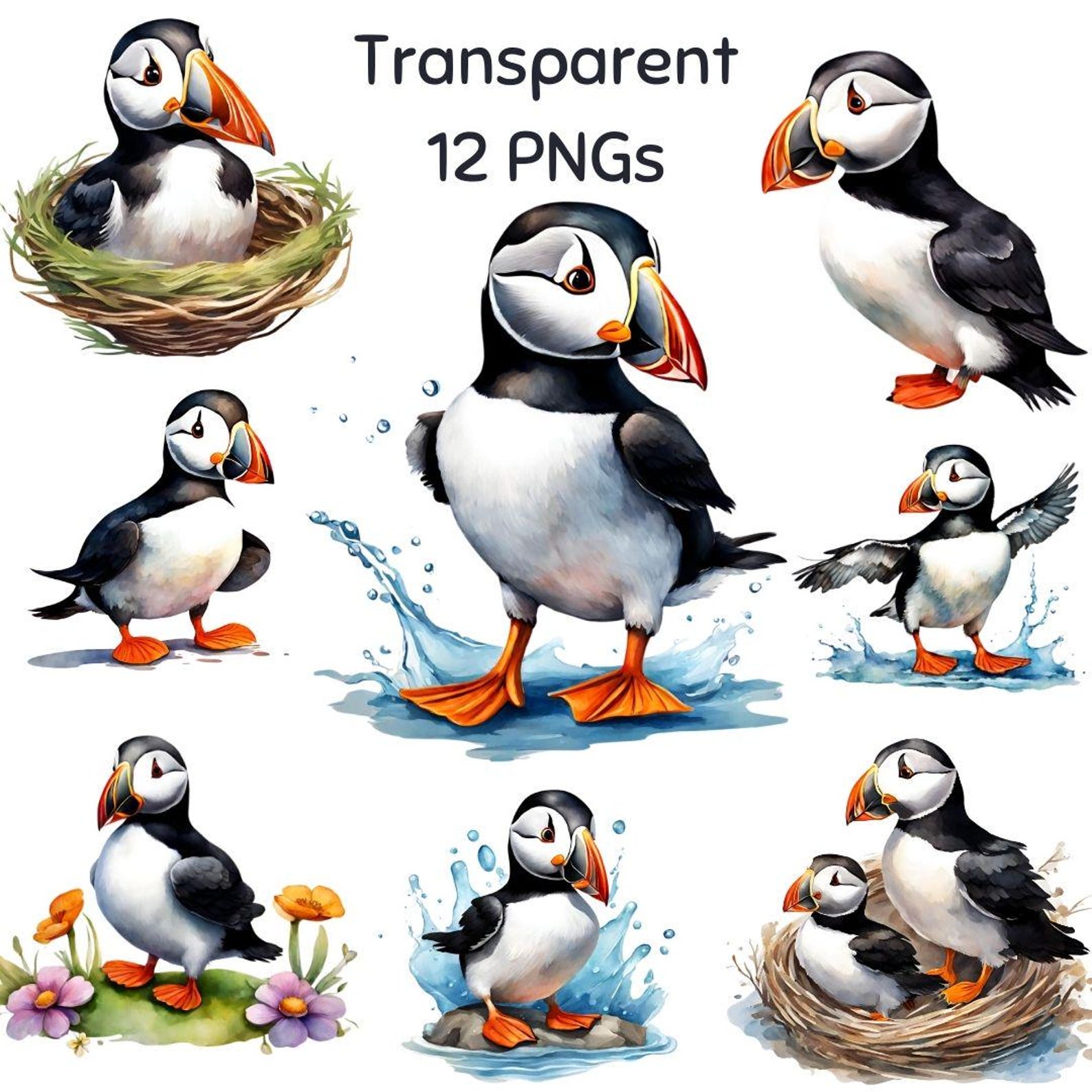Cute Puffin Clipart Cartoon Puffin PNG Atlantic Puffin Bird Printable ...