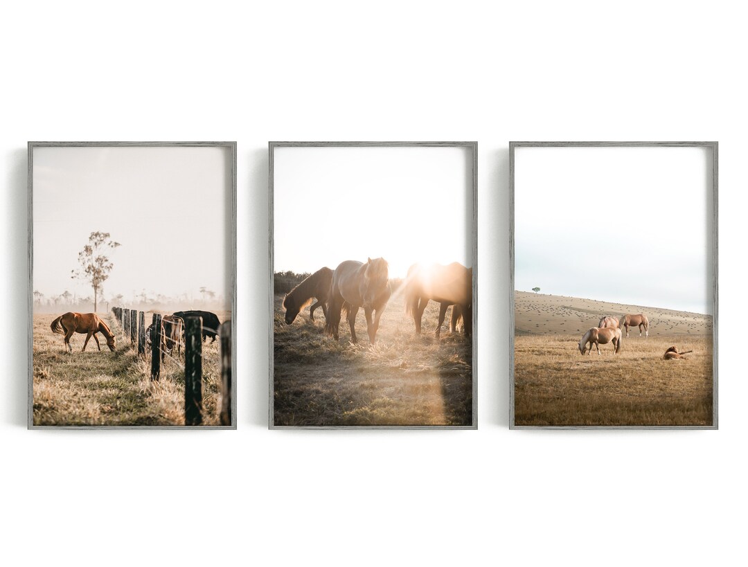 Set of 3 Horses Posters Animals Wall Art Horse Prints - Etsy
