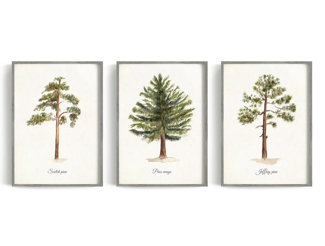 Trees Poster Forest Print Pine Trees Print Trees Wall Art - Etsy